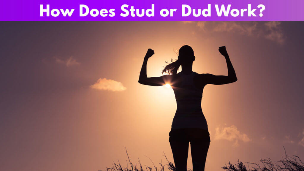 Stud or Dud Review 2025 - Well, Which on is it, Tell me!