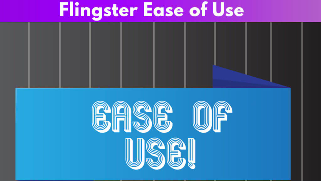 Flingster Review 2025 - [Features, Pros & Cons, Pricing]