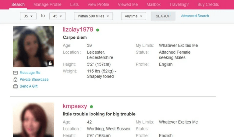 Ashley Madison Profile Example 2025 - Tips to follow